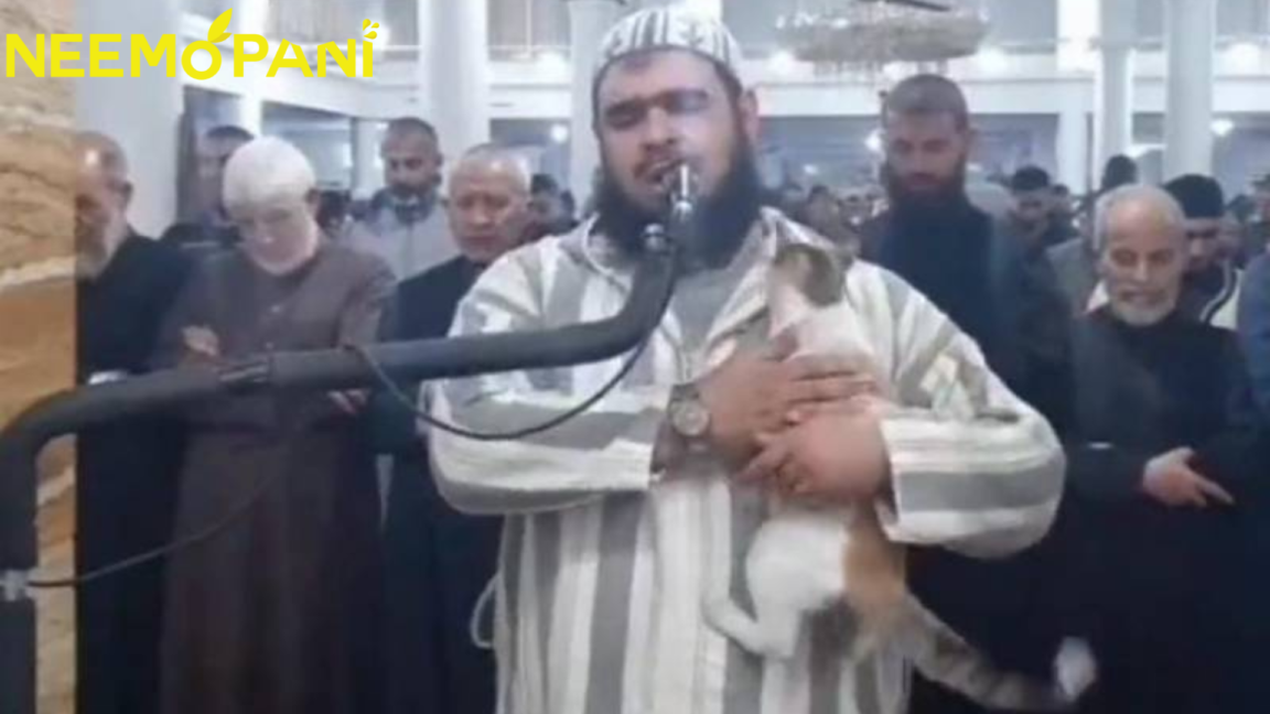 Cat Jumps in Imam During Taraweeh Prayer - Neemopani